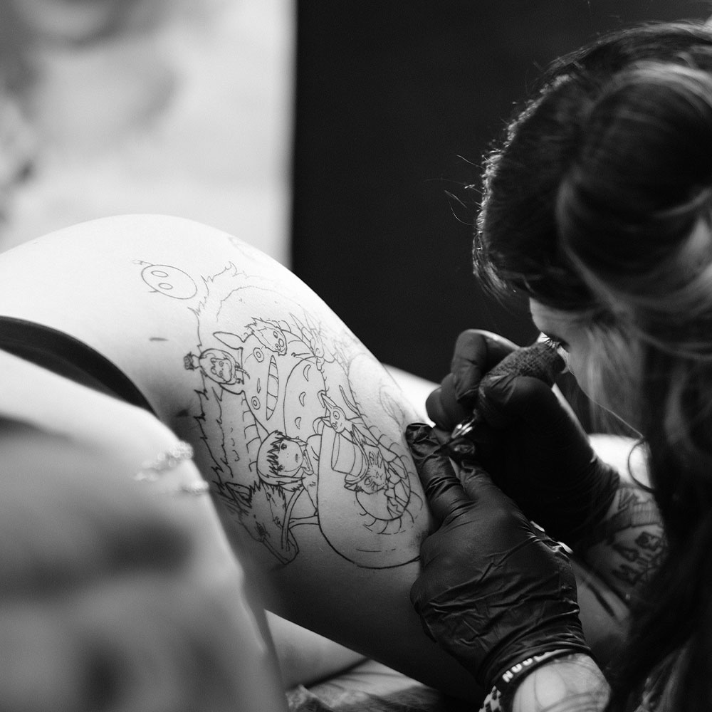 The Signature Brand - The Wildcat Collection